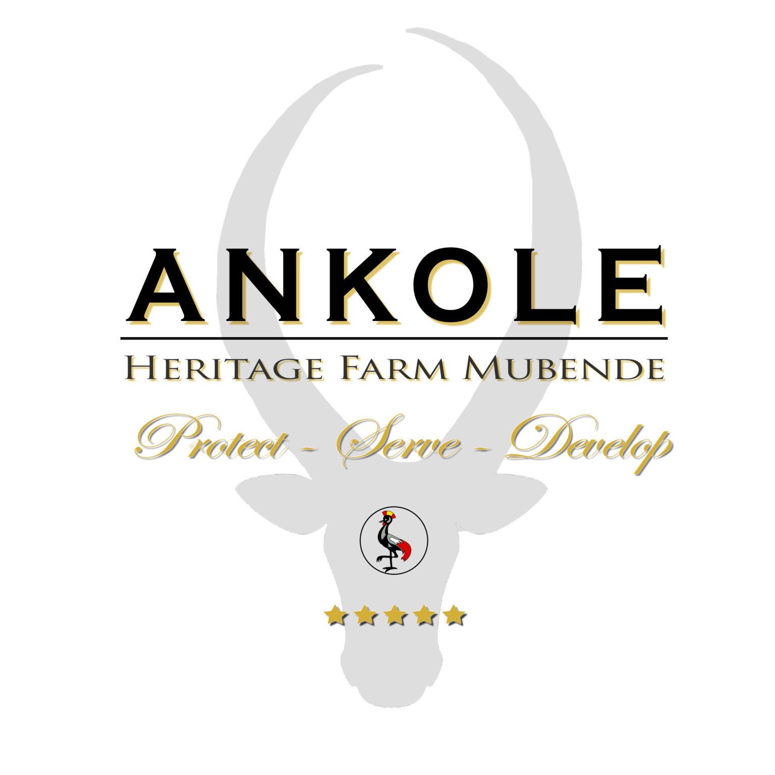 ANKOLE HERITAGE CULTURAL PROJECT – LAZARUS UNION International