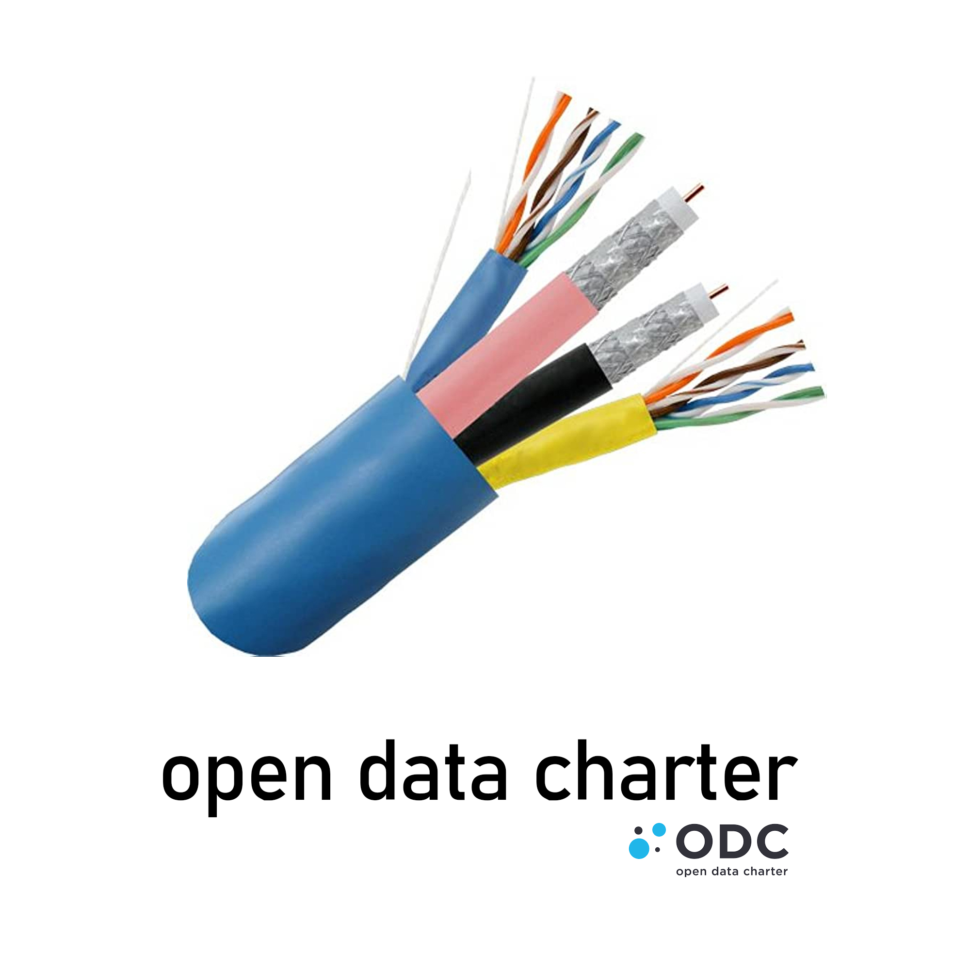 Open Data Charter Promotes Sustainable Data for a Changing World ...